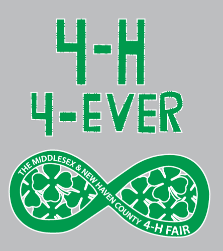 Art made by 4-Hers to promote the 2014 Fair